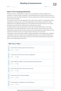 Reading Comprehension Worksheets Grade 3