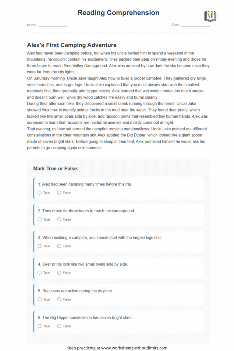 Reading Comprehension Worksheets Grade 3